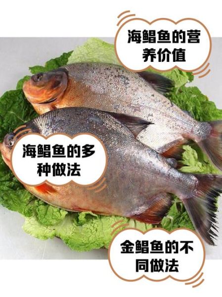 海鲳鱼种类有哪些_海鲳鱼种类区别-第2张图片-山城妙识