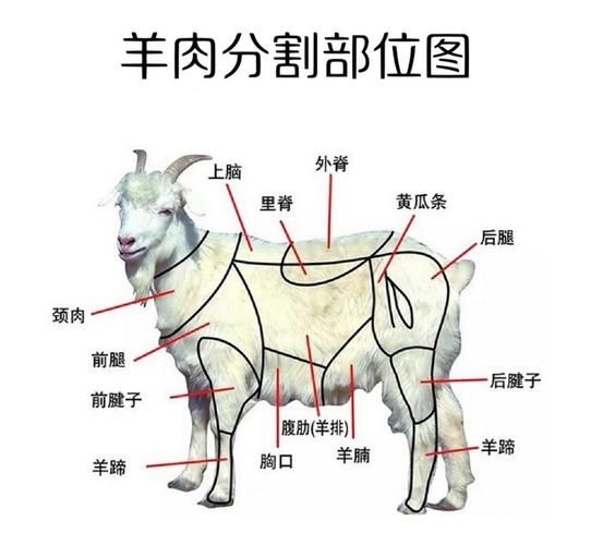 涮羊肉的由来是什么_涮羊肉起源于哪个朝代-第2张图片-山城妙识