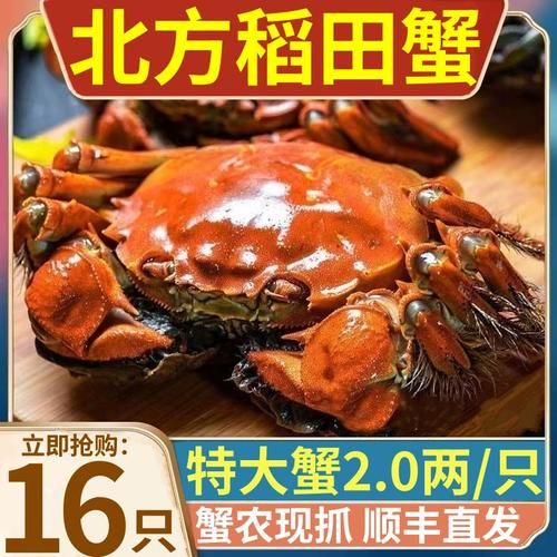 稻田蟹多少钱一斤_稻田蟹价格受哪些因素影响-第2张图片-山城妙识 稻田蟹多少钱一斤_稻田蟹价格受哪些因素影响-第2张图片-山城妙识