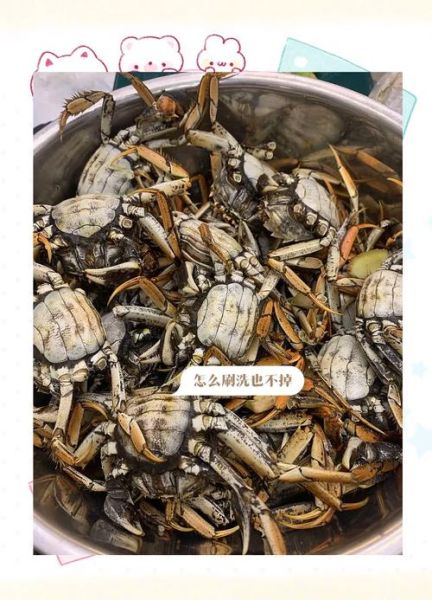 稻田蟹多少钱一斤_稻田蟹价格受哪些因素影响-第3张图片-山城妙识 稻田蟹多少钱一斤_稻田蟹价格受哪些因素影响-第3张图片-山城妙识