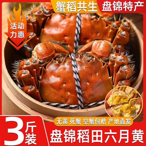 稻田蟹多少钱一斤_稻田蟹价格受哪些因素影响-第1张图片-山城妙识 稻田蟹多少钱一斤_稻田蟹价格受哪些因素影响-第1张图片-山城妙识