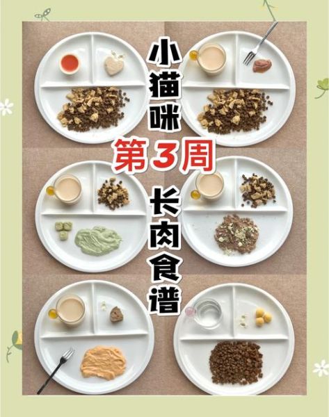 吃什么能长胖_如何快速增重-第1张图片-山城妙识 吃什么能长胖_如何快速增重-第1张图片-山城妙识