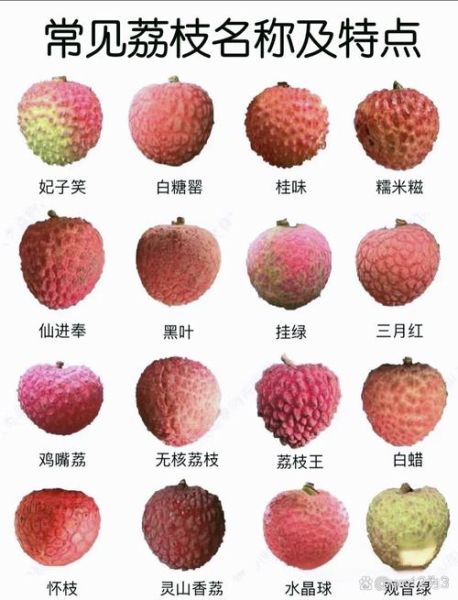 糯米糍和桂味哪个贵_价格差异原因-第1张图片-山城妙识