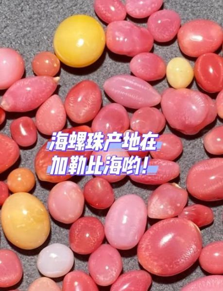 椰子螺的功效与作用_椰子螺怎么吃最补-第1张图片-山城妙识 椰子螺的功效与作用_椰子螺怎么吃最补-第1张图片-山城妙识