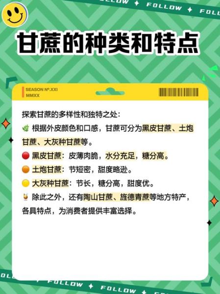 甘蔗产地主要在哪个省_中国甘蔗主产区排名-第1张图片-山城妙识