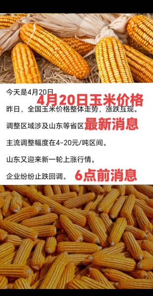 玉米价格最新行情_玉米还会涨价吗-第1张图片-山城妙识