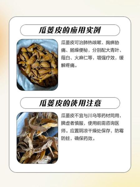 瓜蒌皮的功效与作用_瓜蒌皮怎么泡水喝-第1张图片-山城妙识