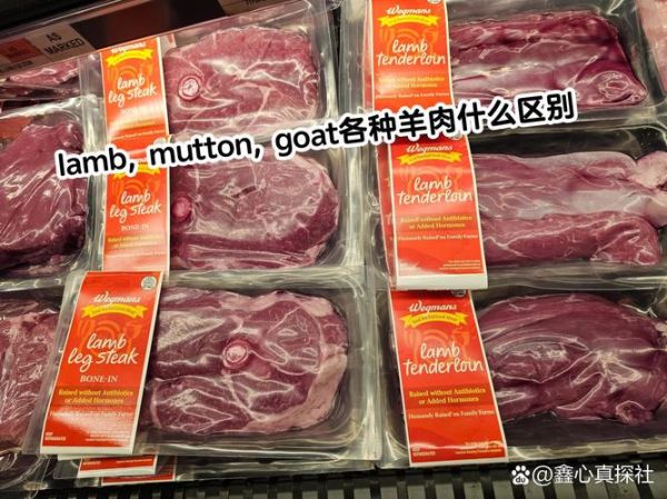 羊肉英语怎么写_mutton和lamb区别-第3张图片-山城妙识