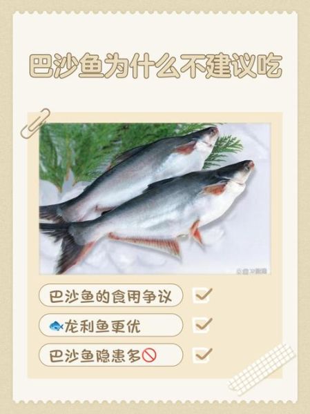 巴沙鱼到底能不能吃_孕妇儿童能吃吗-第1张图片-山城妙识 巴沙鱼到底能不能吃_孕妇儿童能吃吗-第1张图片-山城妙识