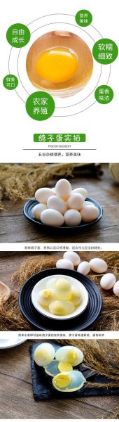 鸽子蛋多少钱一斤_哪里买鸽子蛋最便宜-第1张图片-山城妙识