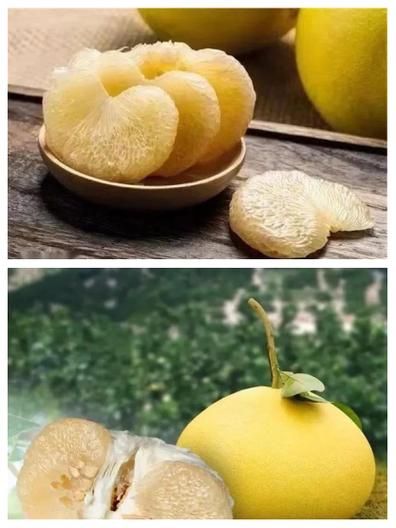 文旦柚和柚子有什么区别_哪个更好吃-第2张图片-山城妙识