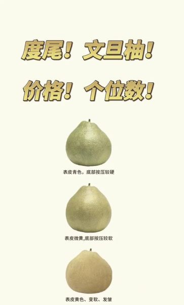 文旦柚和柚子有什么区别_哪个更好吃-第1张图片-山城妙识