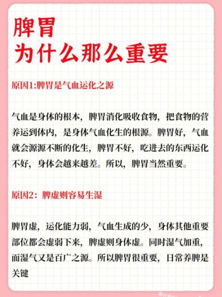 脾虚吃什么食物调理_脾虚症状吃什么好-第3张图片-山城妙识