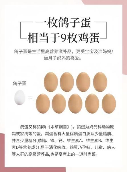 孕妇吃鸽子蛋对胎儿好吗_孕妇吃鸽子蛋的营养价值-第2张图片-山城妙识 孕妇吃鸽子蛋对胎儿好吗_孕妇吃鸽子蛋的营养价值-第2张图片-山城妙识