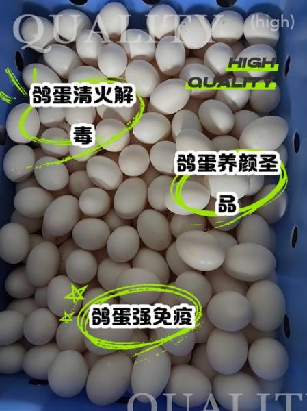 孕妇吃鸽子蛋对胎儿好吗_孕妇吃鸽子蛋的营养价值-第1张图片-山城妙识 孕妇吃鸽子蛋对胎儿好吗_孕妇吃鸽子蛋的营养价值-第1张图片-山城妙识