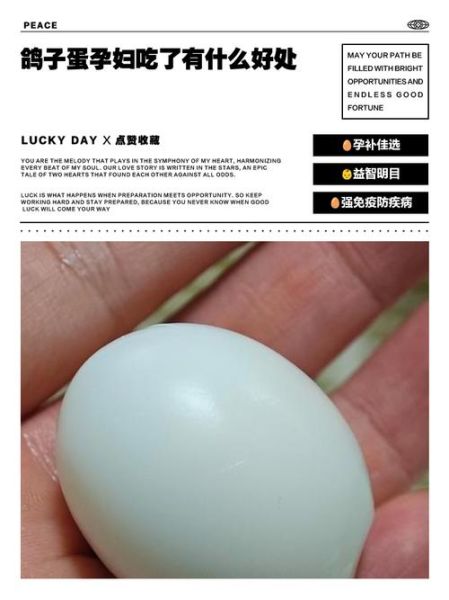孕妇吃鸽子蛋对胎儿好吗_孕妇吃鸽子蛋的营养价值-第3张图片-山城妙识 孕妇吃鸽子蛋对胎儿好吗_孕妇吃鸽子蛋的营养价值-第3张图片-山城妙识