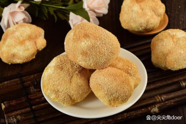 猴头菇干怎么泡发_猴头菇干怎么做好吃-第1张图片-山城妙识 猴头菇干怎么泡发_猴头菇干怎么做好吃-第1张图片-山城妙识