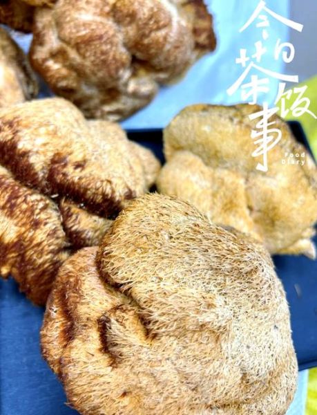 猴头菇干怎么泡发_猴头菇干怎么做好吃-第3张图片-山城妙识 猴头菇干怎么泡发_猴头菇干怎么做好吃-第3张图片-山城妙识