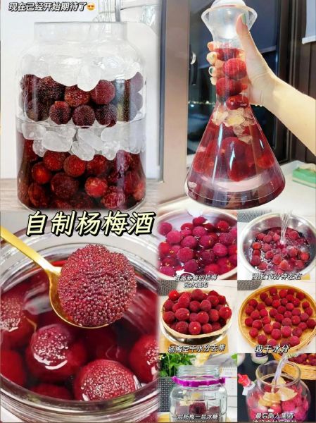 杨梅酒比例怎么配_自制杨梅酒比例多少合适-第2张图片-山城妙识