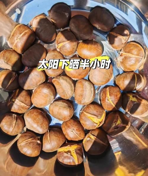 新鲜栗子怎么做好吃_栗子去皮小妙招-第1张图片-山城妙识 新鲜栗子怎么做好吃_栗子去皮小妙招-第1张图片-山城妙识