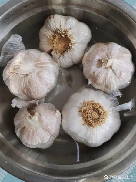 腌蒜苗怎么做_腌蒜苗能放多久-第2张图片-山城妙识