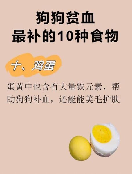 吃什么补血最快_贫血吃什么补血最快-第3张图片-山城妙识 吃什么补血最快_贫血吃什么补血最快-第3张图片-山城妙识