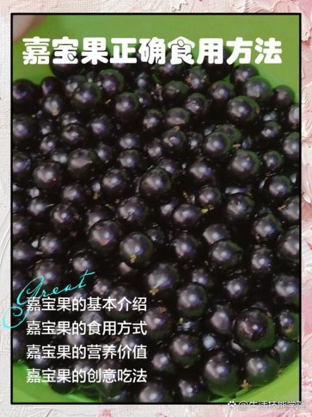 嘉宝果怎么吃_嘉宝果几年结果-第1张图片-山城妙识