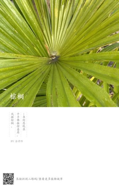 蓑衣是什么_蓑衣的用途有哪些-第1张图片-山城妙识