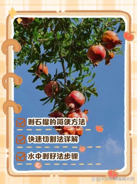 剥石榴的方法_如何快速剥石榴不脏手-第3张图片-山城妙识