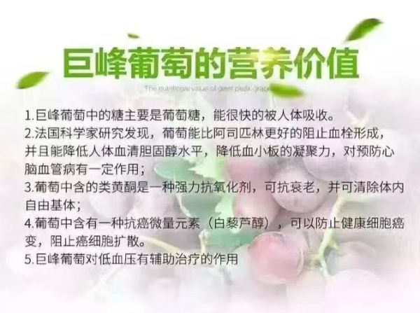 葡萄的营养成分有哪些_吃葡萄有什么好处-第2张图片-山城妙识