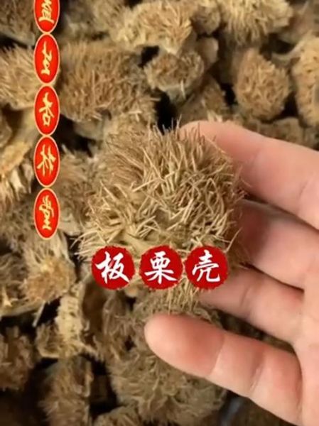 板栗壳煮水有什么功效_板栗壳煮水能天天喝吗-第2张图片-山城妙识