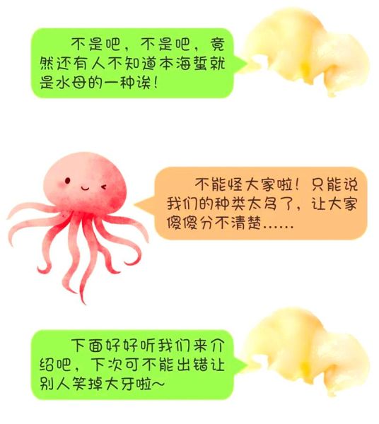 海蜇和水母是一样的吗_海蜇是水母吗-第2张图片-山城妙识