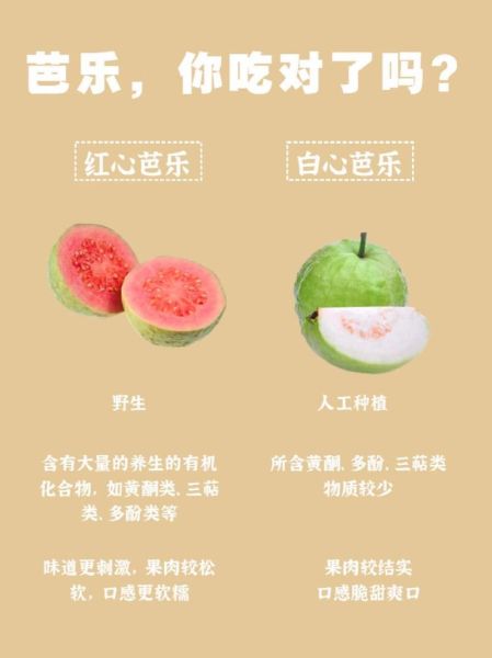 石榴怎么吃_石榴的正确吃法-第3张图片-山城妙识