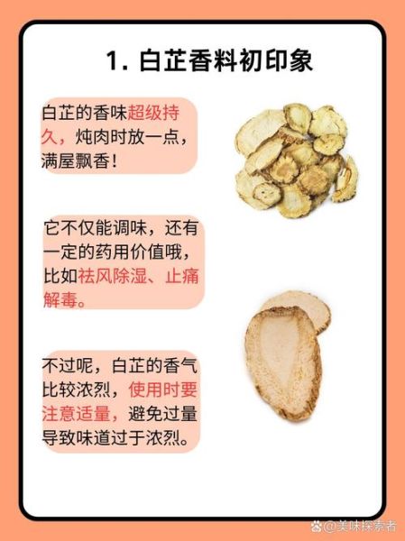 煮大肉用什么调料最好_家常炖肉必备香料-第2张图片-山城妙识