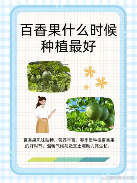 百香果适合什么气候_百香果种植条件有哪些-第1张图片-山城妙识