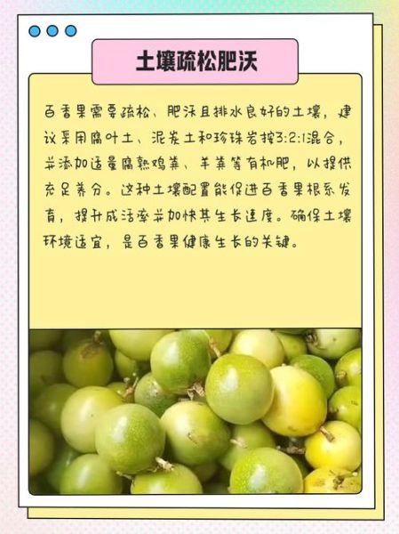 百香果适合什么气候_百香果种植条件有哪些-第3张图片-山城妙识