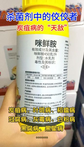 咪鲜胺的作用和使用方法_咪鲜胺防治哪些病害-第3张图片-山城妙识