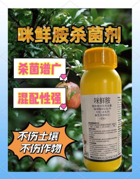 咪鲜胺的作用和使用方法_咪鲜胺防治哪些病害-第2张图片-山城妙识