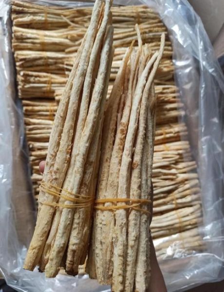 沙参的功效与作用_沙参怎么吃效果最好-第3张图片-山城妙识 沙参的功效与作用_沙参怎么吃效果最好-第3张图片-山城妙识