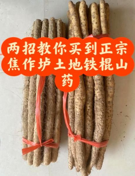 怀山药和铁棍山药的区别_哪个更好-第2张图片-山城妙识