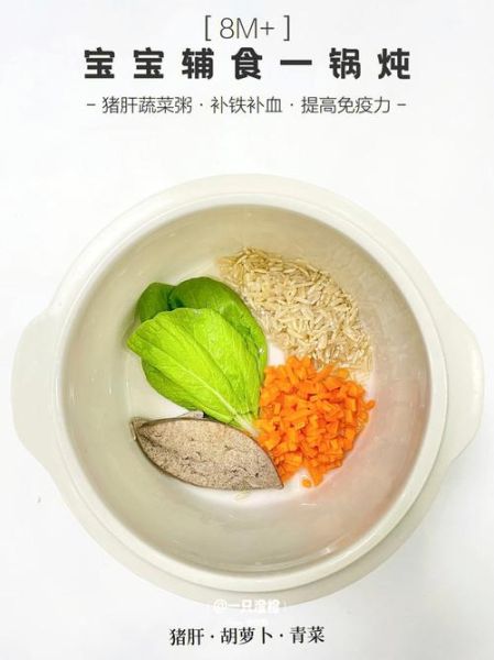 猪肝瘦肉粥怎么做_宝宝辅食猪肝瘦肉粥做法-第1张图片-山城妙识