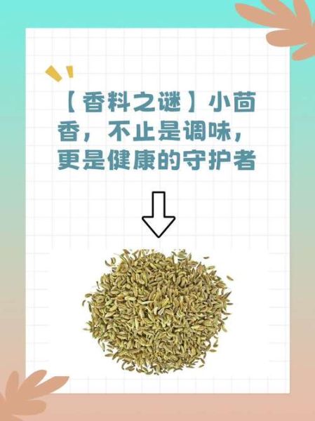 吃茴香有什么好处_茴香籽的功效与作用-第2张图片-山城妙识