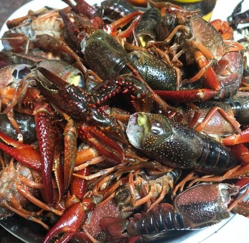 啤酒龙虾怎么做好吃_家庭版做法步骤-第1张图片-山城妙识 啤酒龙虾怎么做好吃_家庭版做法步骤-第1张图片-山城妙识