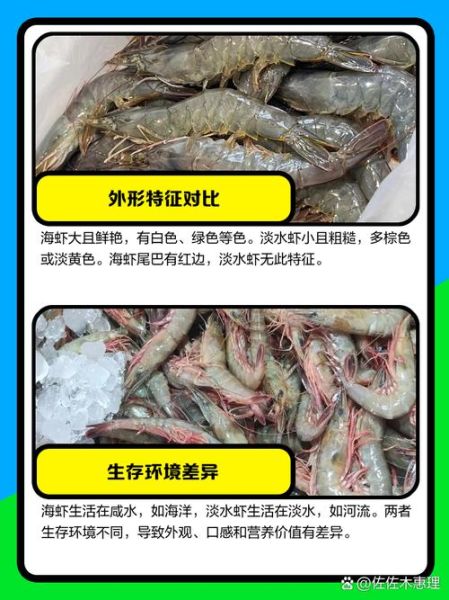 虾的图片真实图片_如何辨别海虾与河虾-第2张图片-山城妙识 虾的图片真实图片_如何辨别海虾与河虾-第2张图片-山城妙识
