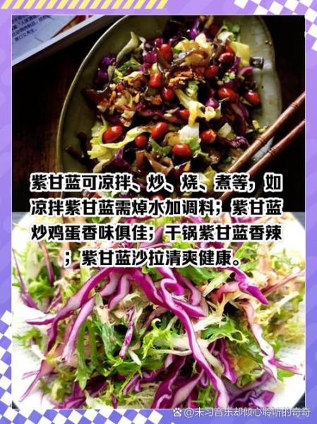 紫包菜的营养价值_紫包菜怎么吃好-第1张图片-山城妙识