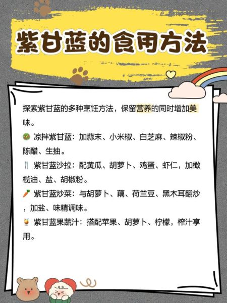 紫包菜的营养价值_紫包菜怎么吃好-第3张图片-山城妙识