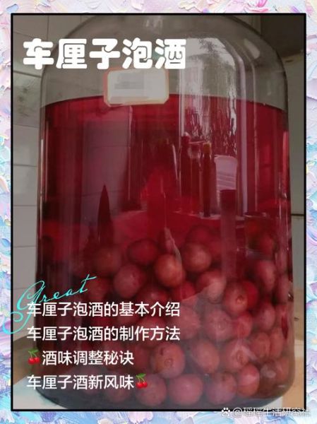 樱桃泡酒怎么做_樱桃泡酒比例是多少-第3张图片-山城妙识