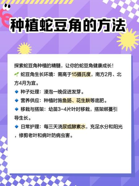 蛇豆角怎么种_蛇豆角种植时间和方法-第1张图片-山城妙识