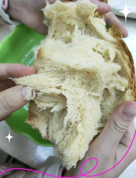 东菱面包机食谱26种怎么做_东菱面包机做面包失败原因-第3张图片-山城妙识