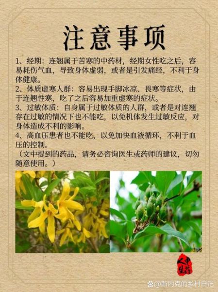 连翘的功效与作用_连翘的副作用有哪些-第1张图片-山城妙识